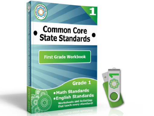 First Grade Common Core Workbook USB